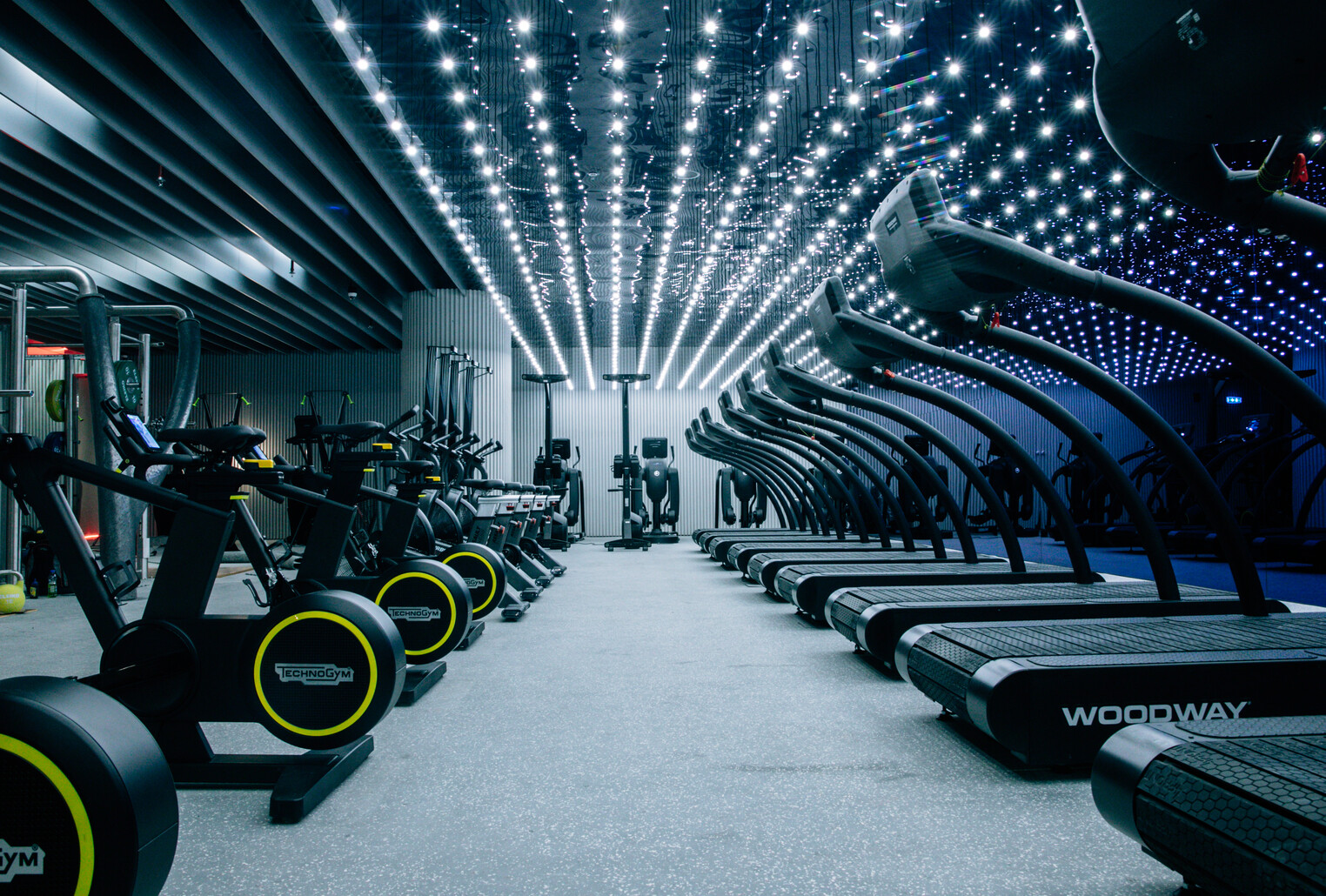 Warehouse gym store